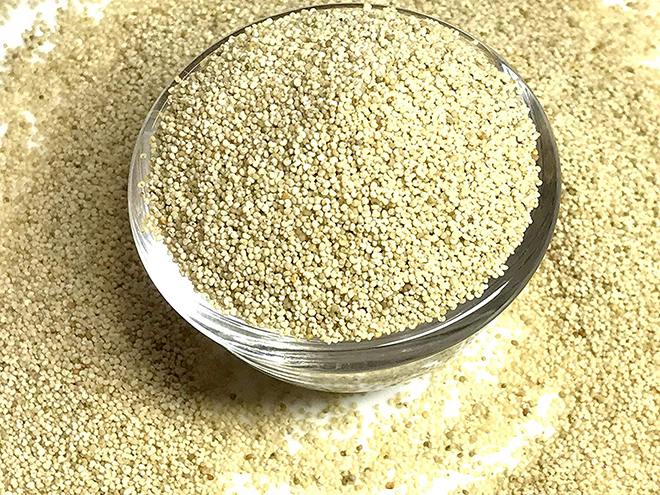 खसखस के लाभ | Benefits of poppy seeds | khaskhas ke labh | स्वास्थ्य ...